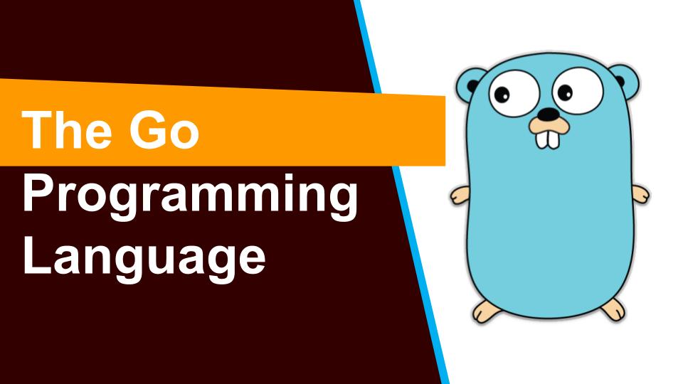 The Go Programming Language An Introduction Its Application And Companies Like Docker Using 